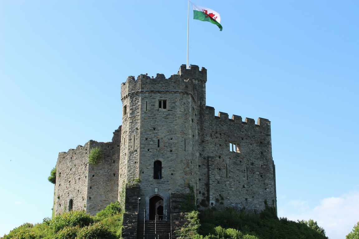 Welsh Translation and Language Services for NHS… | Wolfestone UK